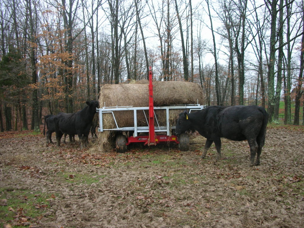Hay wagons for sale. Hay equipment for sale. Hauling and Gathering Hay ...